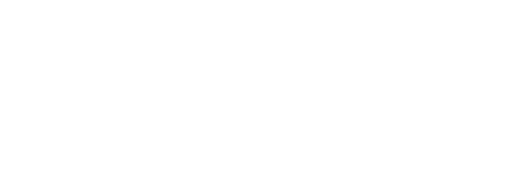 Veterinarian in South Loop, Chicago, IL | Partners Animal Hospital